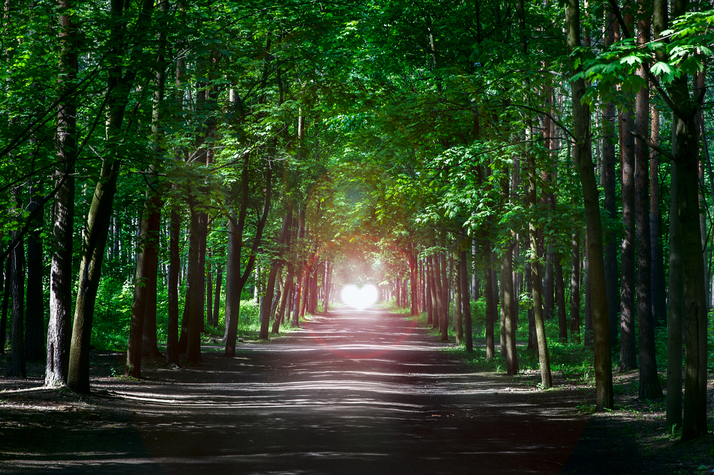 Stress Survival Guide - Blog