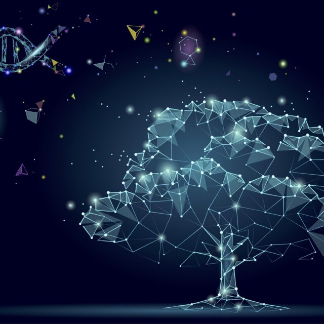 Personal Family Constellation - with Julie Williams